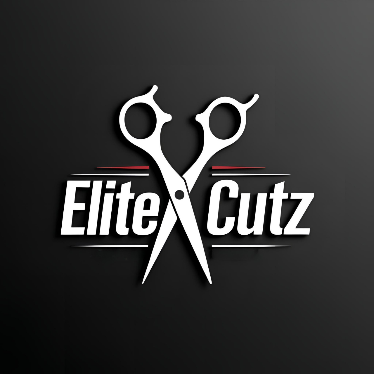 ENTBlack Web Design | South Auckland